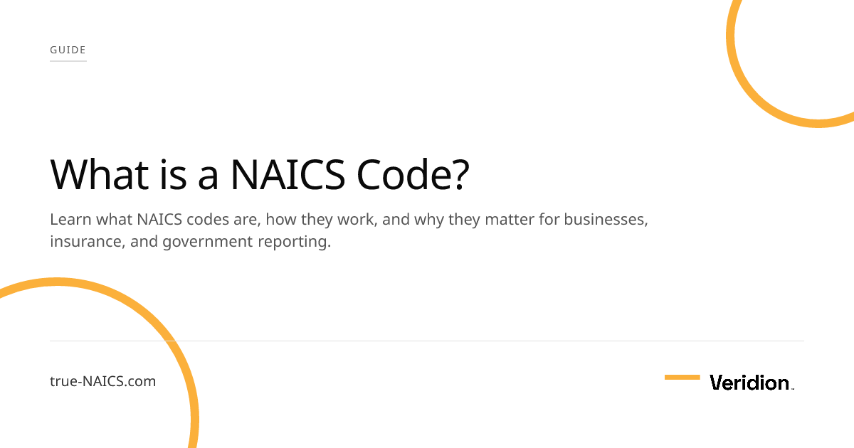 What is a NAICS Code? — Complete Guide | trueNAICS